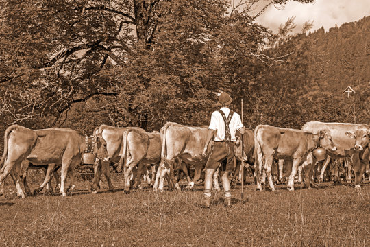 Hirtenstock Bilder – Durchsuchen 583 Archivfotos, Vektorgrafiken und ...