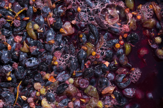 Trester Bilder – Durchsuchen 2,139 Archivfotos, Vektorgrafiken und ...