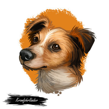 Kromi Images – Browse 40 Stock Photos, Vectors, and Video | Adobe Stock