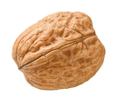 Nuss Images – Parcourir 44,781 le catalogue de photos, vecteurs et ...