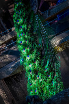 54 BEST Stk IMAGES, STOCK PHOTOS & VECTORS | Adobe Stock