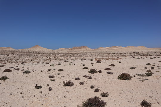 Aride 이미지 – 찾아보기 13,018 스톡 사진, 벡터 및 비디오 | Adobe Stock