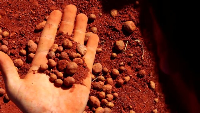 "Red Soil" Images – Browse 5,703 Stock Photos, Vectors, and Video ...