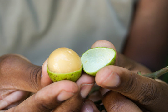 Kinnip Bilder – Durchsuchen 3,651 Archivfotos, Vektorgrafiken und ...