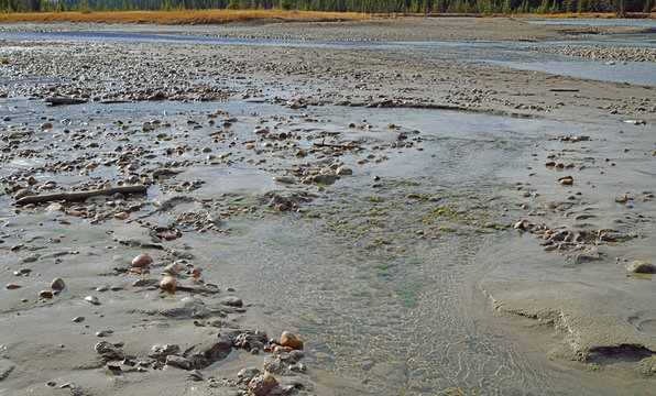 "Shallow River" Images – Browse 202 Stock Photos, Vectors, and Video ...