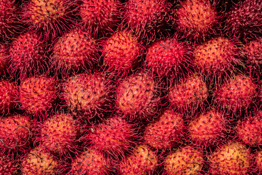 Lichies Images – Browse 8 Stock Photos, Vectors, and Video | Adobe Stock