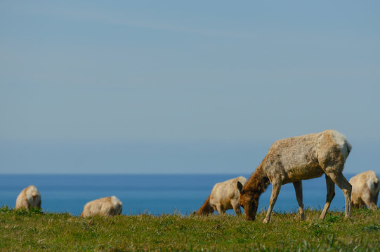 รูปภาพTuling – เลือกดูภาพถ่ายสต็อก เวกเตอร์ และวิดีโอ3,015 | Adobe Stock