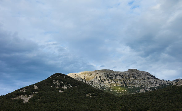 Candina Bilder – Durchsuchen 808 Archivfotos, Vektorgrafiken und Videos ...