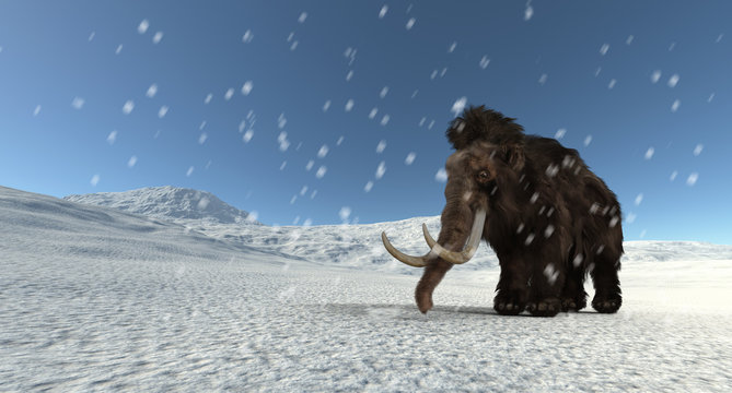 รูปภาพMammoth – เลือกดูภาพถ่ายสต็อก เวกเตอร์ และวิดีโอ41,873 | Adobe Stock