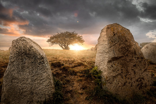Nobbin bilder – Bläddra bland 65 stockfoton, vektorer och videor ...