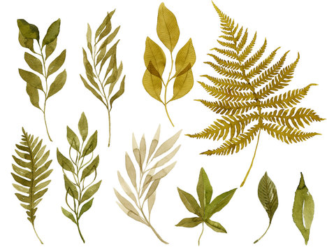 Marijuana Leaf Border Bilder – Durchsuchen 7,725 Archivfotos ...