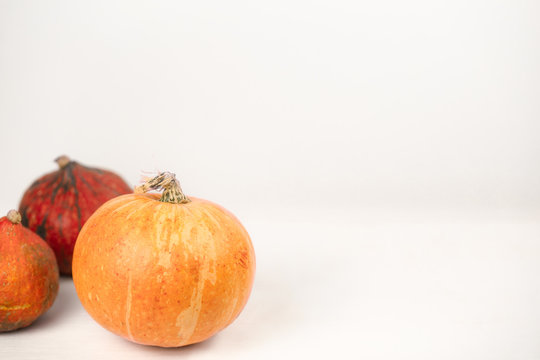 Pumpion Bilder – Durchsuchen 99 Archivfotos, Vektorgrafiken und Videos ...