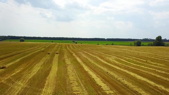 「Stook」の画像 - 221 件の Stock 写真、ベクターおよびビデオ | Adobe Stock
