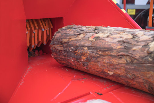 DIE 16,269 BESTEN BILDER, STOCK-FOTOS UND -VEKTORGRAFIKEN ZU „Shredder ...