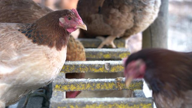 รูปภาพPolli – เลือกดูภาพถ่ายสต็อก เวกเตอร์ และวิดีโอ2,550 | Adobe Stock