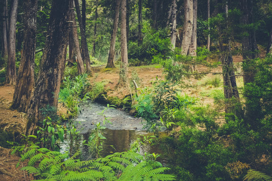 Arvi Images – Browse 881 Stock Photos, Vectors, and Video | Adobe Stock