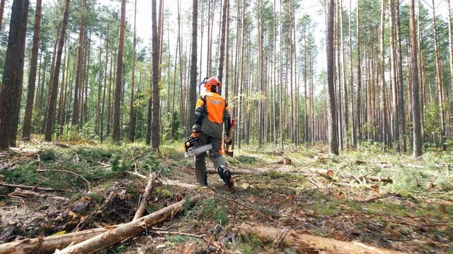 Forest Worker Images – Browse 375,817 Stock Photos, Vectors, and Video | Adobe Stock