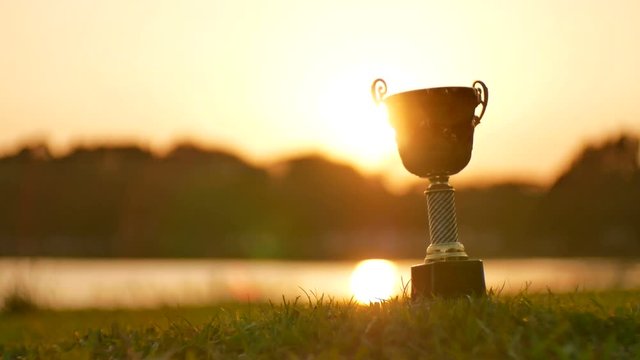 Trophy Video Footage – Browse 19,798 HD Stock Video and Footage | Adobe ...