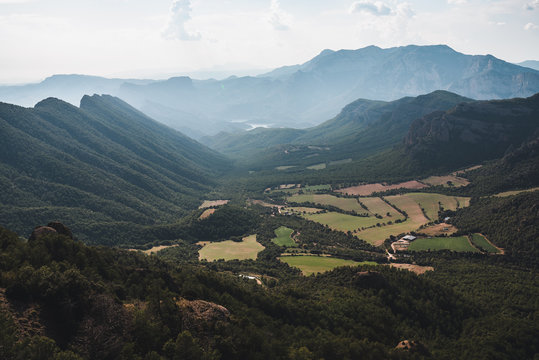 Turp 画像 - 参照 384 Stock 写真、ベクターおよびビデオ | Adobe Stock
