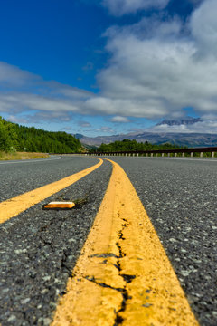 Roard Images – Browse 33 Stock Photos, Vectors, and Video | Adobe Stock