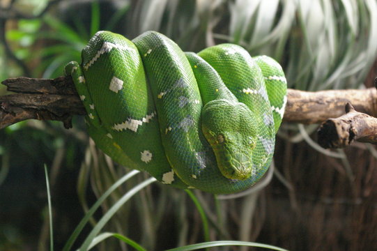 รูปภาพEnrouler – เลือกดูภาพถ่ายสต็อก เวกเตอร์ และวิดีโอ329 | Adobe Stock