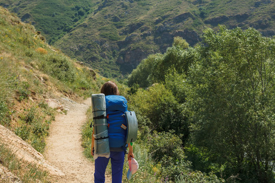 Viator Bilder – Durchsuchen 446 Archivfotos, Vektorgrafiken und Videos ...