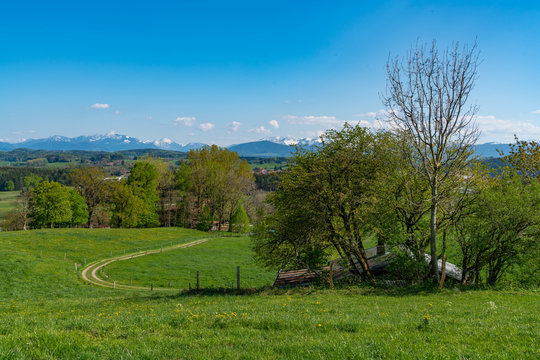 รูปภาพBayerische – เลือกดูภาพถ่ายสต็อก เวกเตอร์ และวิดีโอ5,984 | Adobe ...