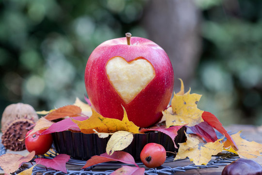 Herz-Motiv Images – Browse 23 Stock Photos, Vectors, and Video | Adobe ...