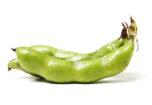 รูปภาพFeves – เลือกดูภาพถ่ายสต็อก เวกเตอร์ และวิดีโอ127 | Adobe Stock