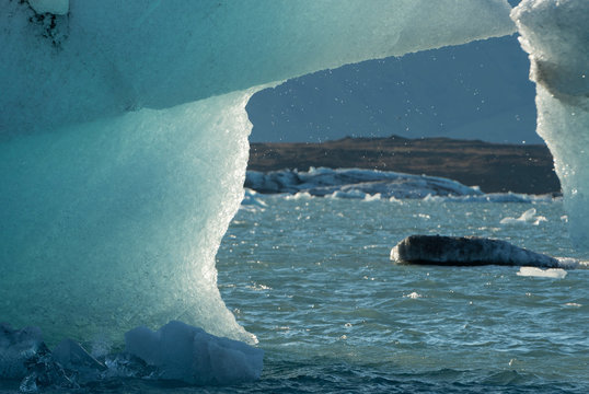 Graciar-Bilder: Stock-Fotos & -Videos. | Adobe Stock