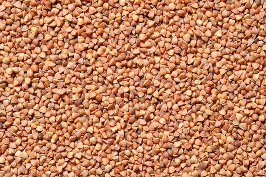 รูปภาพGryka – เลือกดูภาพถ่ายสต็อก เวกเตอร์ และวิดีโอ365 | Adobe Stock