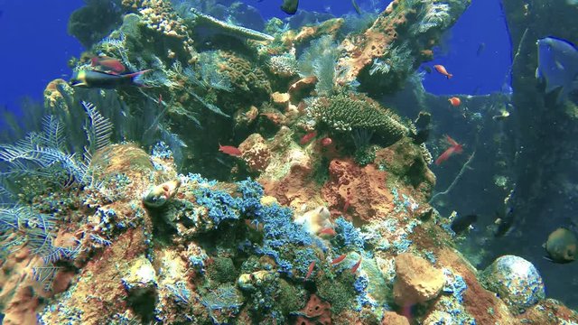 รูปภาพSunken – เลือกดูภาพถ่ายสต็อก เวกเตอร์ และวิดีโอ56,673 | Adobe Stock