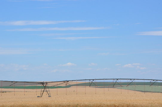 Center-Pivot Images – Browse 46 Stock Photos, Vectors, and Video ...