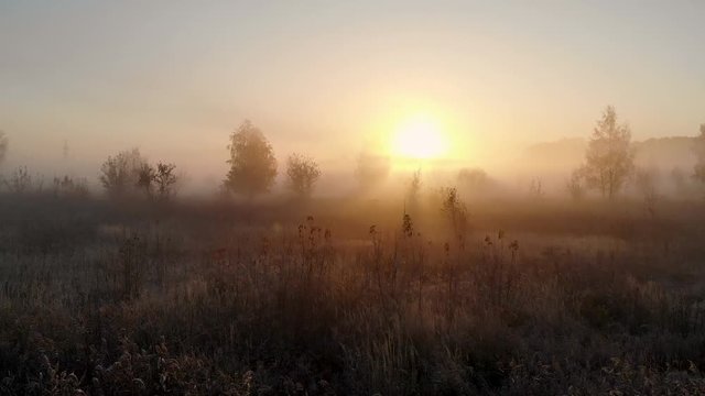 Sun Video Footage – Browse 7,218 HD Stock Video and Footage | Adobe Stock