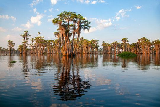 Guy Bryant photos, images, assets | Adobe Stock