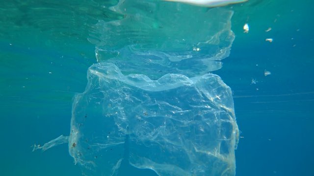 Wrappage Imagens – Procure 180 fotos, vetores e vídeos | Adobe Stock