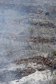 รูปภาพVerbrannter – เลือกดูภาพถ่ายสต็อก เวกเตอร์ และวิดีโอ146 | Adobe Stock