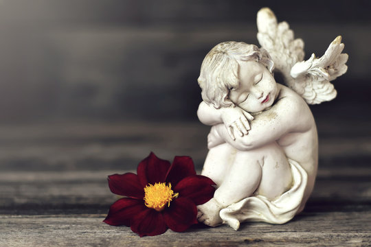 Free Angel Images – Browse 1,987 Free Stock Photos, Vectors, and Video ...