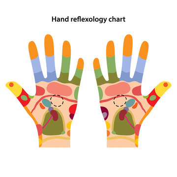 Handreflexzone Bilder – Durchsuchen 247 Archivfotos, Vektorgrafiken und Videos | Adobe Stock