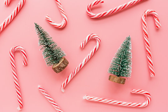 Canes Images – Browse 2,827,137 Stock Photos, Vectors, and Video ...