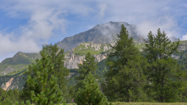 Cembro Images – Browse 34 Stock Photos, Vectors, and Video | Adobe Stock