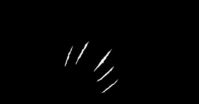 Tiger Slash Images – Browse 2,083 Stock Photos, Vectors, and Video ...