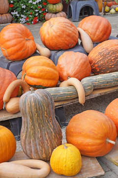 Amantis Images – Browse 53 Stock Photos, Vectors, and Video | Adobe Stock