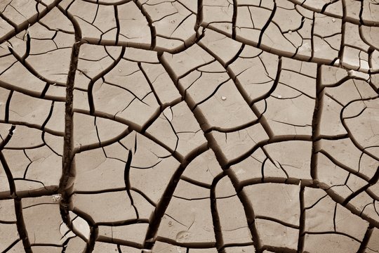 Imágenes de Cuarteado: descubre bancos de fotos, ilustraciones ...