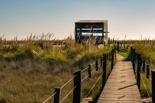 รูปภาพTarima – เลือกดูภาพถ่ายสต็อก เวกเตอร์ และวิดีโอ460 | Adobe Stock