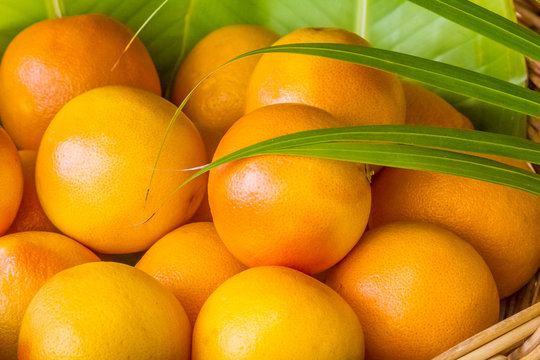 รูปภาพPomelos – เลือกดูภาพถ่ายสต็อก เวกเตอร์ และวิดีโอ36,265 | Adobe Stock