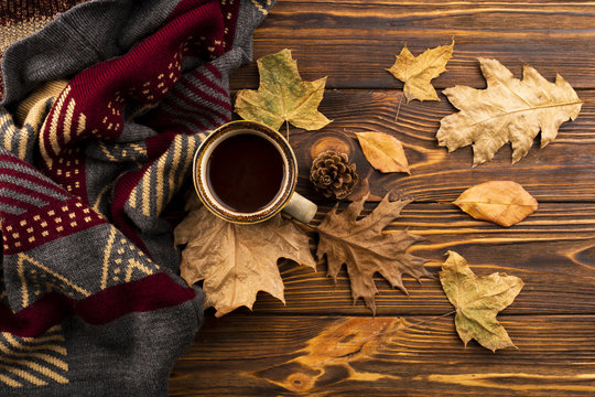 Freepik photos, images, assets | Adobe Stock