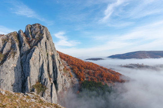 Valisoara-Bilder: Stock-Fotos & -Videos. | Adobe Stock