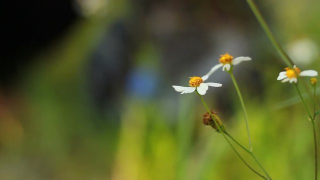 「Gabbage」の画像 - 132 件の Stock 写真、ベクターおよびビデオ | Adobe Stock