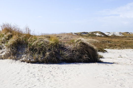 รูปภาพBadstrand – เลือกดูภาพถ่ายสต็อก เวกเตอร์ และวิดีโอ285 | Adobe Stock